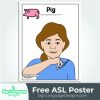 Free ASL Sign Poster - PIG - Sign Language Designs